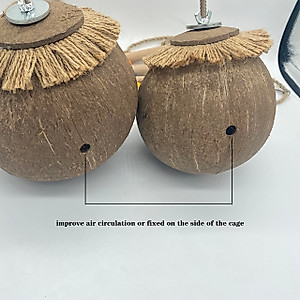 kuminamoja Coconut Bird's Nest with Ladder for Parrots Parakeet Conures Cockatiel and Small Animals (Large)