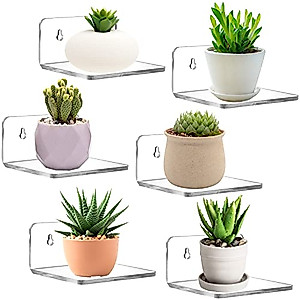 Fasmov 8 Pack Small Wall Shelves, Acrylic Display Ledges for Mini Decor, Display Shelf Floating Wall Mounted Shelf for Bedroom, Living Room, Bathroom