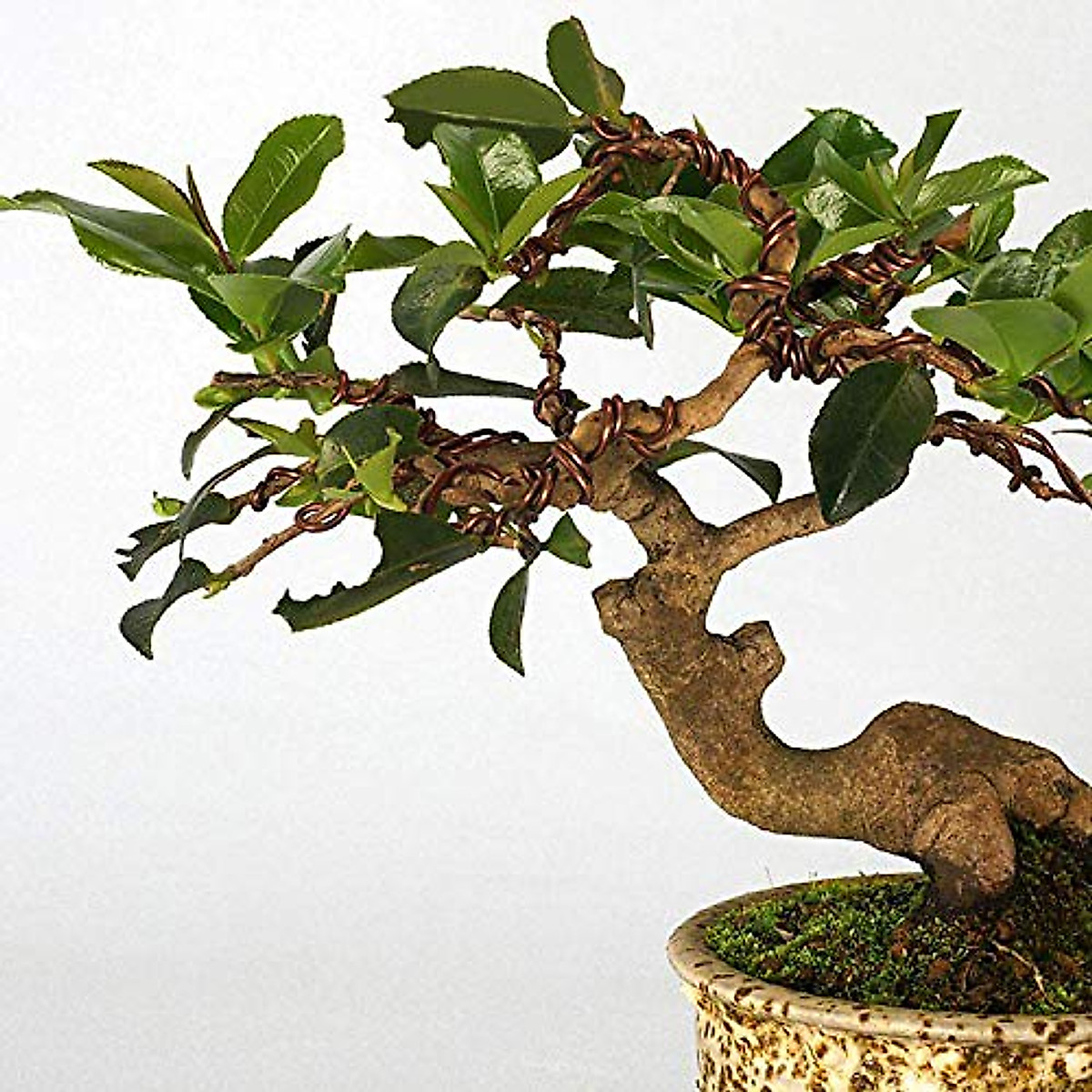 Amatted Bonsai Tool Set, 20 Pcs 4.5cm Round Bonsai Pot Bottom Grid Mat Mesh and 3 Roll Anodized Aluminum Wire Soft DIY Jewelry Crafts Versatile Painted Metal Cord for DIY Jewelry Craft Making