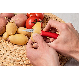 ARCOS Paring Knife Set 2 Pieces. 2 Peeling Knives of Stainless Steel and Ergonomic Polypropylene Handle for Cutting Fruits, Vegetables and Tubers. Series Nova. Color Red