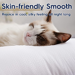 viewstar Pillows Queen Size Set of 2, Bed Pillows for Sleeping, Queen Pillows 2 Pack for Back, Stomach or Side Sleepers, Fluffy Pillows for Bed with Down Alternative, Machine Washable, 19" x 28"