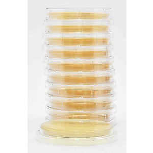 Prepared Rodac and Contact Plates for Critical Environments (10 plates per pack)