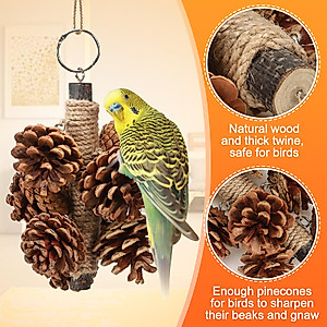 Acostop Bird Toys Parrot Toys - Bird Chewing Toy with Natural Pine Cones for Small and Medium-Sized Parakeets Cockatiels Conures Cockatoos African Grey Amazon Parrots Birdlovers Gifts