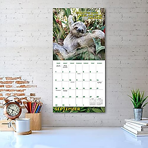 Stoner Sloths 2024 Wall Calendar, 16-Month Humor & Comic Calendar, 12" x 12"