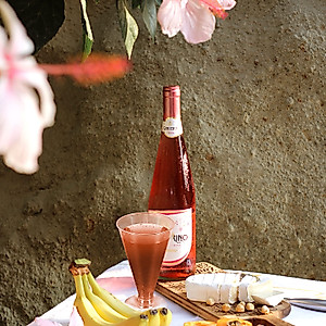 KesaPlan 40 Pack 2 Style Plastic Martini Glasses Disposable Cocktail Glasses 5/8.5 oz Martini Plastic Cocktail Glasses Ice Cream Dessert Cups with Spoons for Appetizer, Outdoor Parties, Weddings