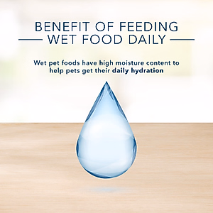 Blue Buffalo Basics Skin & Stomach Care, Grain Free Natural Adult Pate Wet Cat Food, Indoor Fish 3-oz cans (Pack of 24)