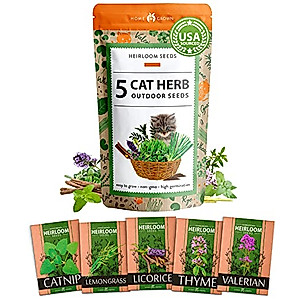 HOME GROWN 2100+ Cat Grass Seeds - Catnip Seeds, Lemongrass, Licorice, Thyme Seeds, Valerian - Grow Cat Grass for Indoor Cats - Cat Grass Seeds Bulk - Refill Cat Growing Grass Kit