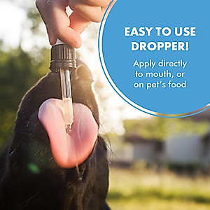 PetSilver Immune Support - Chelated Silver Formula - Promotes Respiratory Health in Cats & Dogs - Sinus & Kennel Cough Treatment - Natural Antibiotic - Allergy Relief - Easy-to-Use Dropper - 2 fl oz