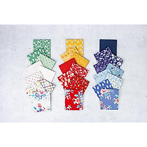 American Jane Always in Season Rolie Polie 40 2.5-inch Strips Jelly Roll Riley Blake RP-15100-40