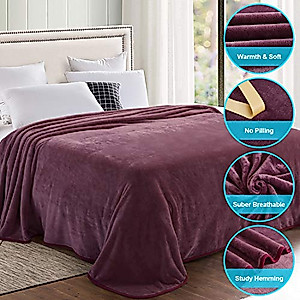 LEISURE TOWN Fleece Blanket Queen King Twin Throw Size Soft Summer Cooling Breathable Luxury Plush Travel Camping Blankets Lightweight for Sofa Couch Bed (Lavender, Queen (90" x 90"))