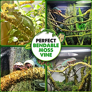 Duspro 10FT Reptile Vines for Climbing Bendable Branch for Reptile Natural Moss Rope Jungle Decor for Bearded Dragon, Chameleon Tank Accessories, Snake Gecko Lizard Terrarium