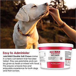 Joint MAX Double Strength Soft Chews for Dogs - Vitamins, Minerals, Antioxidants - Glucosamine, Chondroitin - Beef Flavor - Maximum Joint Health Supplement - 120 Chews