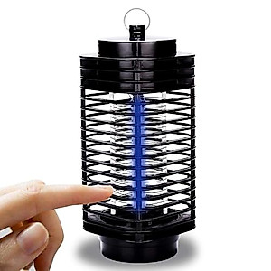 Acure Curiously Clarifying Shampoo With Lemongrass & Argan, 12 Oz