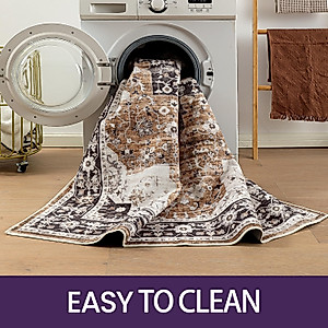 DEXI Washable Area Rug, Soft Vintage Indoor Rugs for Bedroom Living Room Kitchen Dining Room, Non-Slip Low-Pile Floor Carpet Mat for High Traffic Inside House, 8'x12', Brown