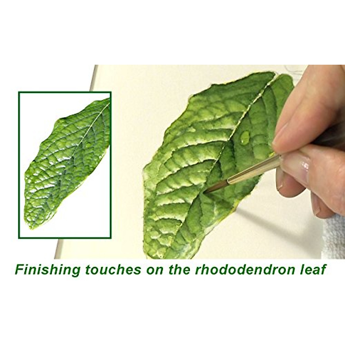 Susan Harrison-Tustain's Watercolor Masterclass Volume One. Life-like leaves, vibrant greens and 5 crucial elements for a successful painting.