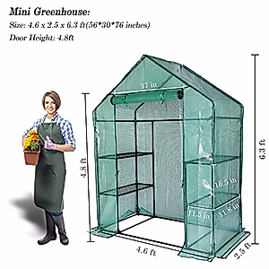 KOKSRY Mini Greenhouse,Greenhouses for Outdoors,Portable Walk in Green House for Garden Plants That Need Frost Protection and Away from Pests, Animals(56"x30"x76")-Green