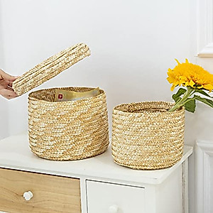 Storage Basket Straw Woven Storage Baskets with Lid Round Sundries Basket Gift Basket Desktop Storage Organizer for Vanity Cabinet Office 14x13cm Woven Storage Basket