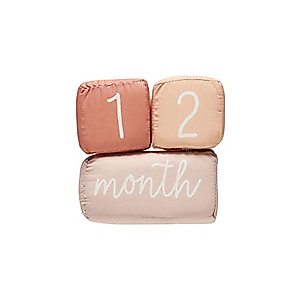 Little Pear Plush Milestone Blocks, Baby Month Plush Blocks, New and Expecting Moms Gift, Baby Age Milestone Keepsakes, Newborn Photo Props
