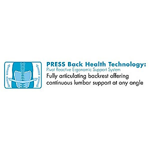 SertaPedic Cosset Mid-Back Executive Chair, Supports Up to 275 Lb, 18.5" to 21.5" Seat Height, Black Seat/Back, Slate Base