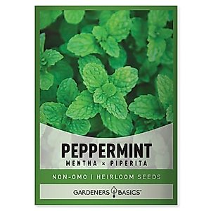 Peppermint Seeds for Planting is A Heirloom, Open-Pollinated, Non-GMO Herb Variety- Great for Indoor and Outdoor Gardening and Herbal Tea Gardens by Gardeners Basics