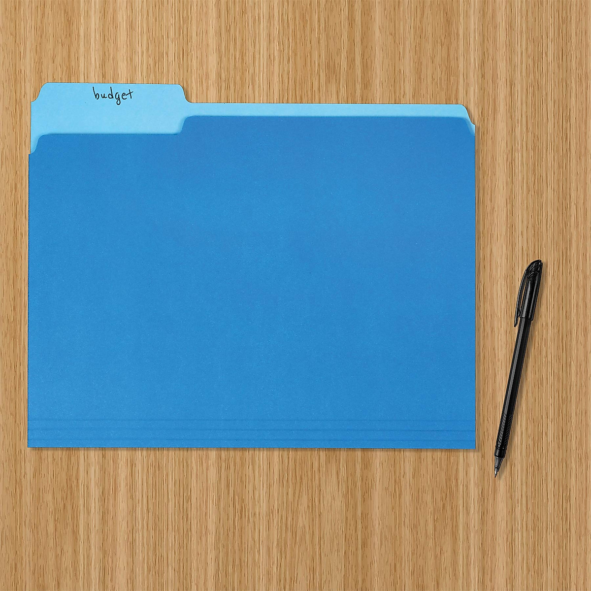 Amazon Basics File Folders, Letter Size, 1/3 Cut Tab, Blue, 36-Pack