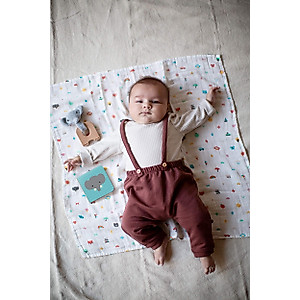 Petit Collage Eco-Friendly Organic Baby Starter 3-Piece Gift Set, Little Elephant