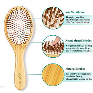 Sofmild Bamboo Wooden Paddle Hair Brush Comb Set, Hairbrushes for Women Men Kid Detangling Hair Massaging Scalp with Round Tip Bristles for All Hairstyles (Blue Wooden)