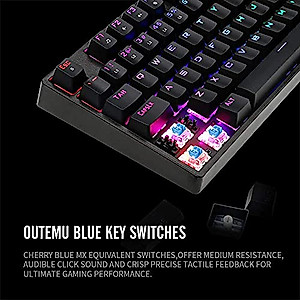 1ST PLAYER TKL RGB Gaming Mechanical USB Wired Keyboard DK5.0 LITE with Cherry MX Blue Switches Equivalent, Compact 87 Keys Tenkeyless LED RGB Backlit Computer Laptop Keyboard for Windows PC Gamers