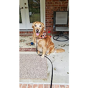 Halloween Dog Bandana -Orange Plaid Pet Scarf
