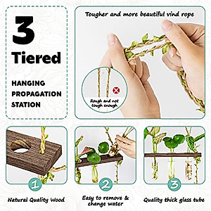 Grovind Propagation Stations, 3 Tier Large Wall Hanging Plant Terrarium with Wooden Stand Retro Propagation Station Test Tubes for Hydroponic Indoor Plants Cutting Planter for Home Garden Office Decor