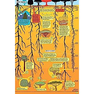 Under Water, Under Earth