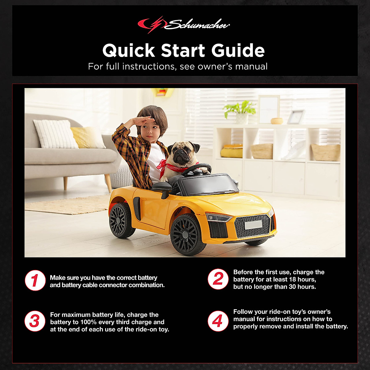 Schumacher Electric 12V Battery for Ride on Toys - TB4 12V 12 Amp Hours with Replaceable Fuse - Rechargeable 12V Ride On Replacement Battery for Peg Perego Vehicles - Safe & Easy to Use