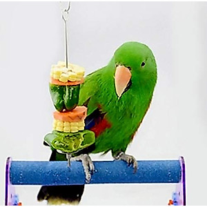 Bird Food Holder,Bird Feeders,Pure Stainless Steel Parrot Fruit Vegetable Stick Holder,Bird Treat Skewer.Holder Vegetable Skewer Food Feed Treating Tool for Parrots(2 Sizes) (Small — 4.7 in (12 cm))