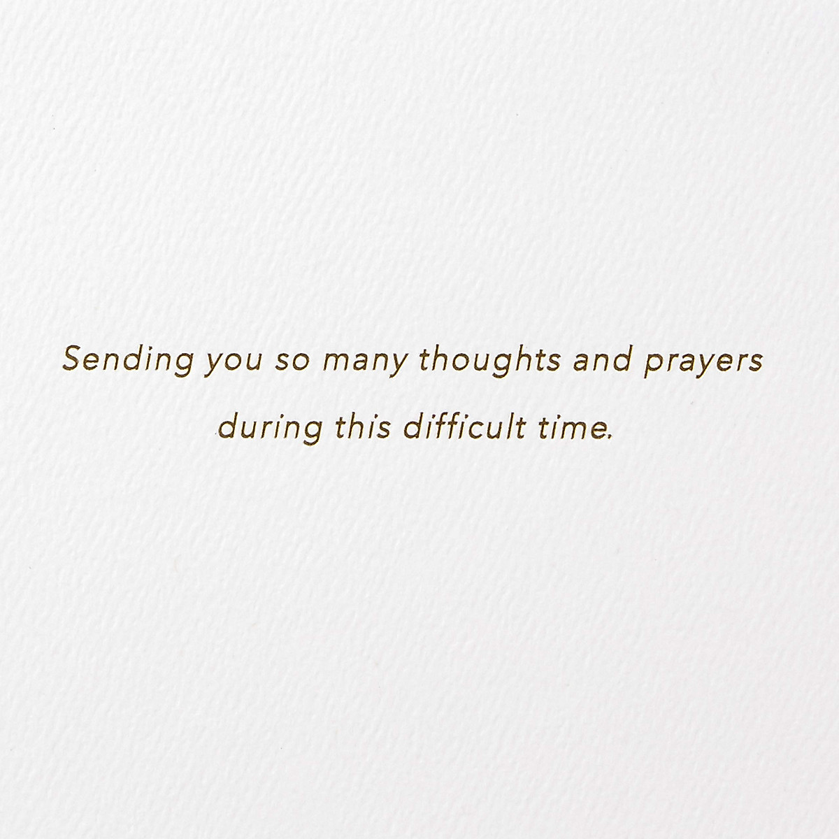 Hallmark Signature Sympathy Card (Many Thoughts and Prayers)