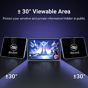 ZOEGAA Privacy Screen Protector for iPad Mini 7(2024,A17 Pro 7th Gen) /iPad Mini 6(2021,6th Gen),Anti Blue Light Anti-Spy Matte Screen Film Guard Screen Protector for 8.3
