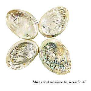 SOUL STICKS Beginners Mini Smudge Kit Includes White Sage 3-4 Abalone Shell Selenite Wand and Palo Santo with Smudging Guide