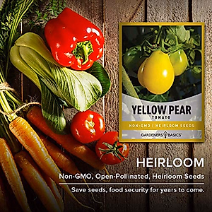 Yellow Pear Tomato Seeds for Planting Heirloom Non-GMO Seeds for Home Garden Vegetables Makes a Great Gift for Gardening by Gardeners Basics