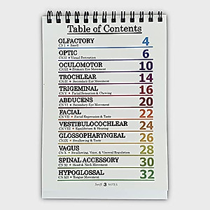 Cranial Nerves Anatomy, Testing, and Assessment - A Neurology and Medical Reference for the Clinical Professional