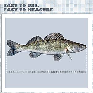 6 Pcs Fish Ruler Decal Fish Measuring Tape Sticker for Boat Adhesive Fishing Ruler Transparent Waterproof Fish Sticker Clear Tape Measure for Boats Kayak Net Gaff Fishing Accessories (42 Inch)