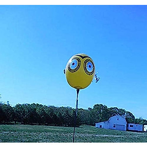 Flock Free Bird Bopper – Visual Bird Repelling Decoy Balloon “Flock Off!”, Modern Scarecrow