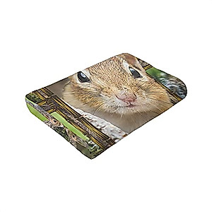 Squirrel Throw Blankets Ultra Soft Flannel Blanket Warm Cozy Couch Sofa Bed Decor for All Seasons