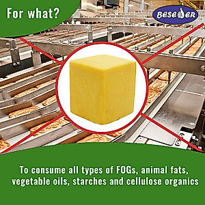 Beseder Grease Trap Cleaner Cube 2 lb for large grease trap cleaning (Cube 2 lb, 4 pcs)