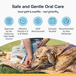 ProDen PlaqueOff System Dental Care Bones for Dogs - Vegetable 17 oz