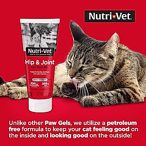 Nutri-Vet Cat Hip & Joint Paw Gel | Cat Joint Supplement | Glucasomine, MSM, and Chondroitin | Tasty & Easy to Give | 3 Ounce Tube