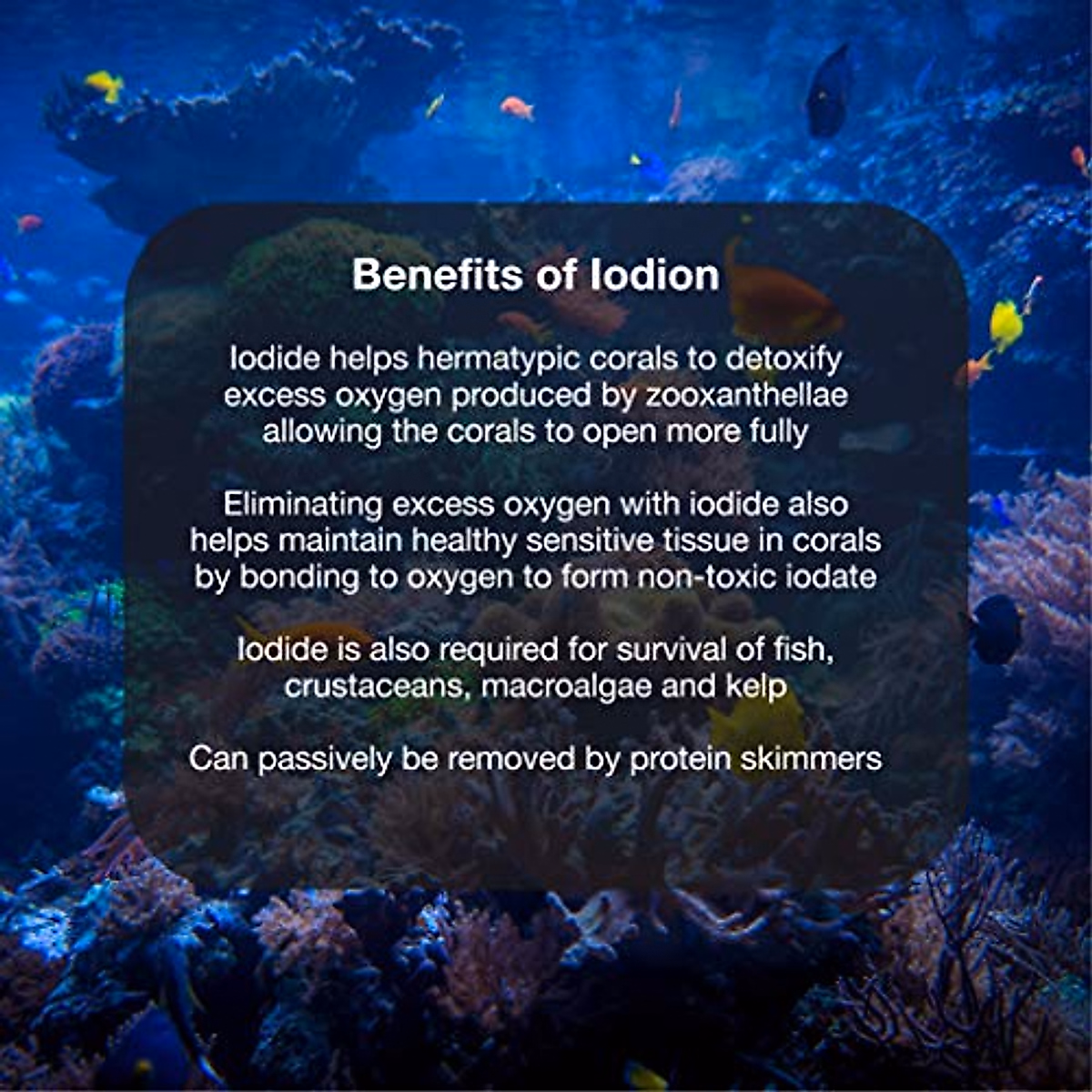 Brightwell Aquatics Iodion - Concentrated Iodide Supplement for Marine Fish Aquariums, 2-L, Model Number: IOD2L