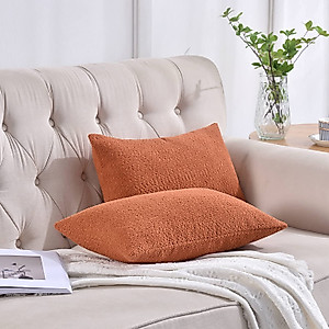 Rythome Set of 2 Cozy Boucle-Like Textured Throw Pillow Covers, Decorative Elegant Lumbar Pillow Cases for Couch Bed and Living Room - 12"x20", Terracotta