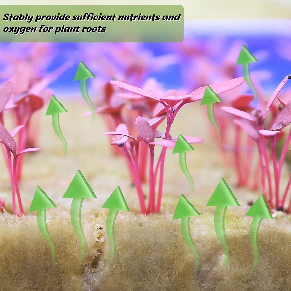 72 sets Rockwool Cubes for Hydroponics with Net Pots, 1in Rock Wool Planting Cubes 72 Plugs & 50 Net Cups 1.5 inch Hydroponic & 50 Article Self Watering Cotton Wick Cord for Hydroponics Supplies