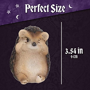 Nemesis Now Three Wise See No Evil Hear No Evil Speak No Evil Figurines, Adorable Hand-Painted Resin Collectibles and Gift - Hedgehogs