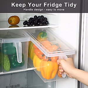 Quzzil 4 Pcs Fridge Organizer Refrigerator Organizer Bins with Lids and Handle Clear Fruit Storage Containers for Fridge Vegetable, Egg, Meat (Divided and Normal Style)