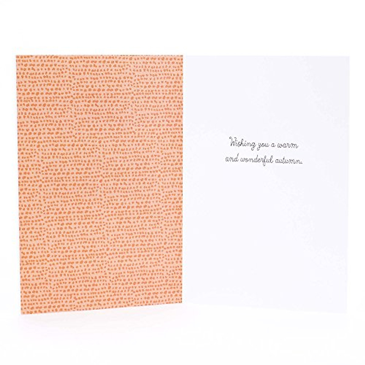 Hallmark Signature Fall or Thanksgiving Card (Wonderful Autumn)